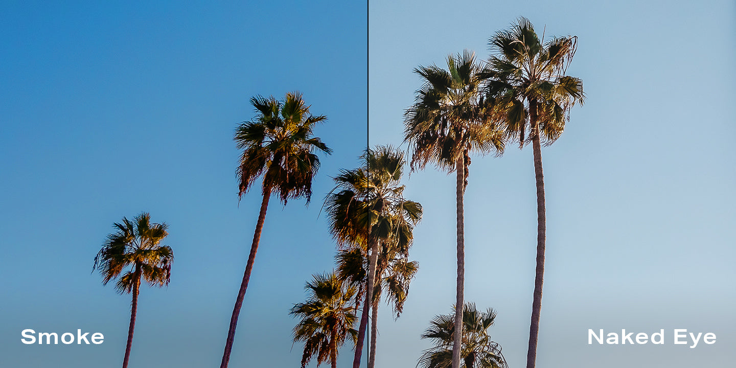 Deconstructo Smoke Spare Lens - Black Full Shield Single Spare ...